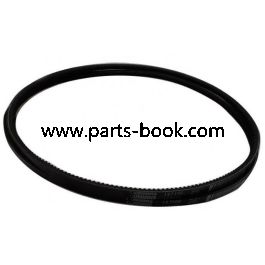 V Belt 187160 13A1270 3807179